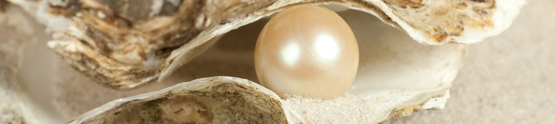 What Modesty Means to Us – Aab Europe